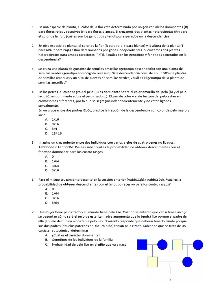 Genética Mendeliana: Cruzamientos y Resultados | PDF | Dominancia ...