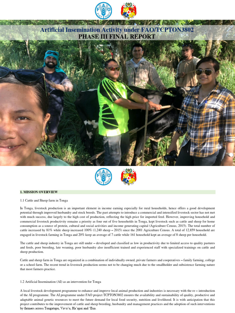 Tonga's AI Livestock Development Report | PDF | Agriculture | Cattle