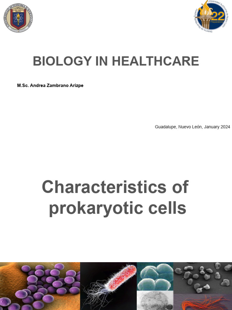 Prokaryotic vs Eukaryotic Cell Structures | PDF | Cell (Biology) | Cell ...