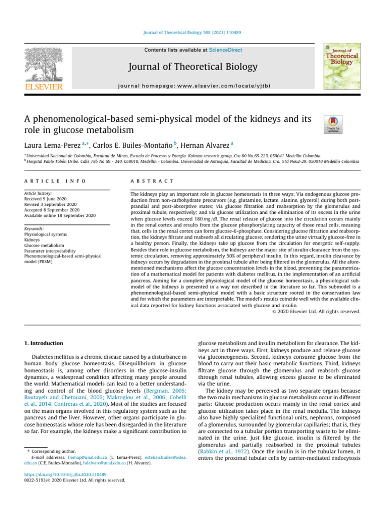 A phenomenological-based semi-physical model of the kidneys and its role in glucose metabolism ...