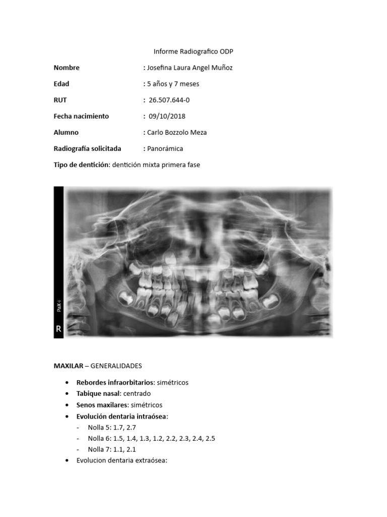 Informe Radiográfico ODP Infantil | PDF | Diente | Anatomia dental