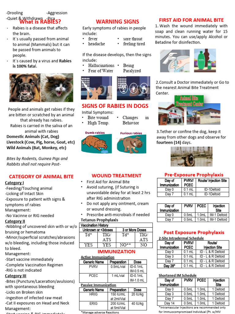 Animal Bite Management Leaflets | Download Free PDF | Rabies | Medical ...