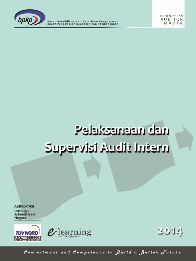 Pelaksanaan Audit Intern dan Supervisi | PDF | Karier & Perkembangan | Bisnis