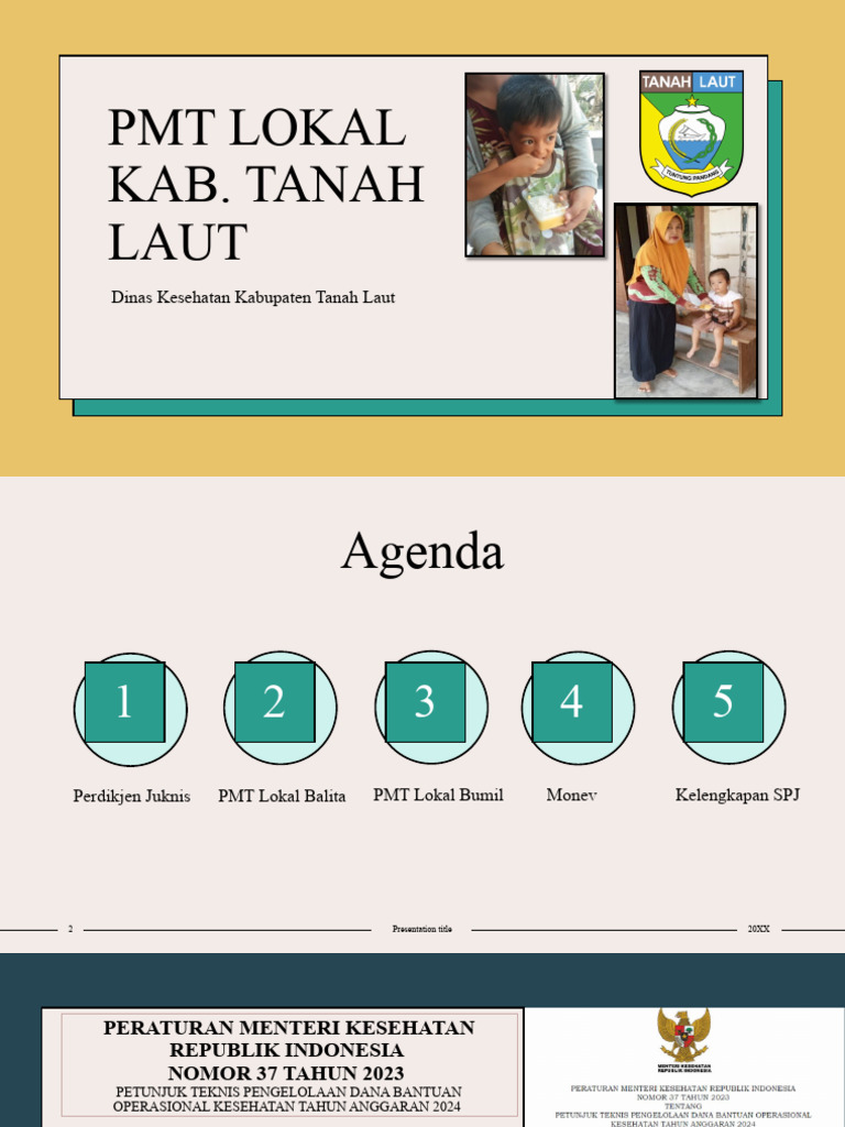 Juknis PMT Lokal 2024-2025 Tanah Laut | PDF