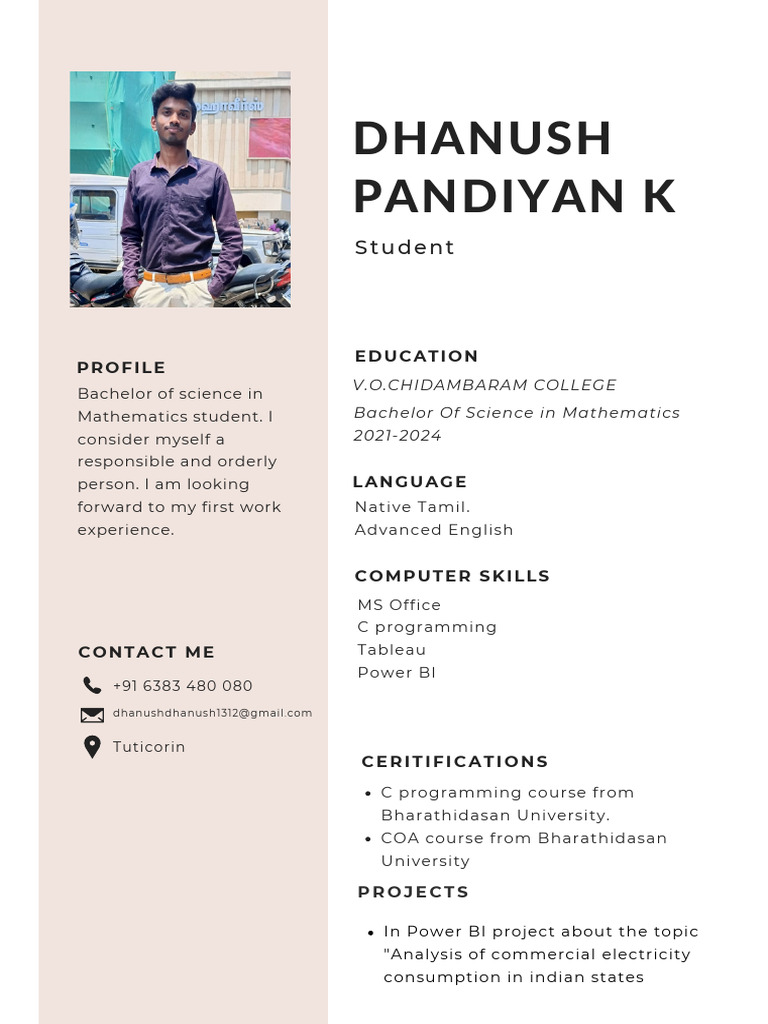 Mathematics Student Profile and Skills | PDF