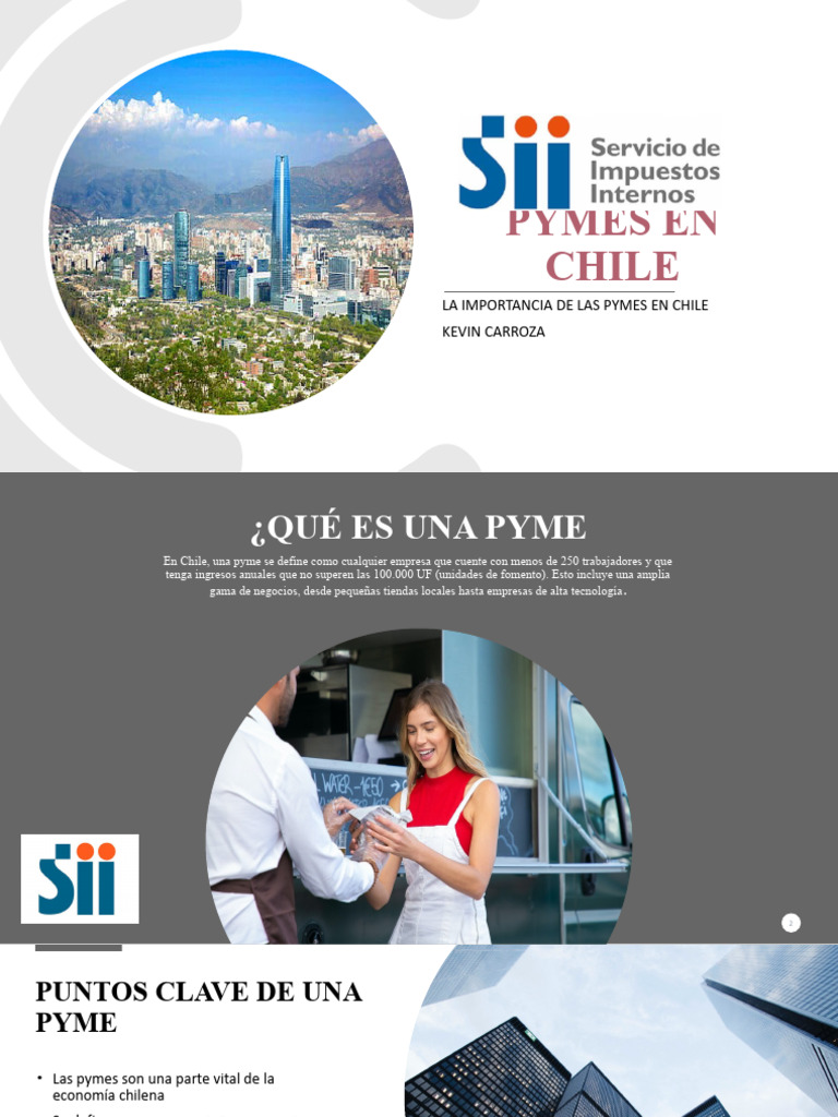 Importancia de las PYMES en Chile | PDF | Pequeñas y medianas empresas ...