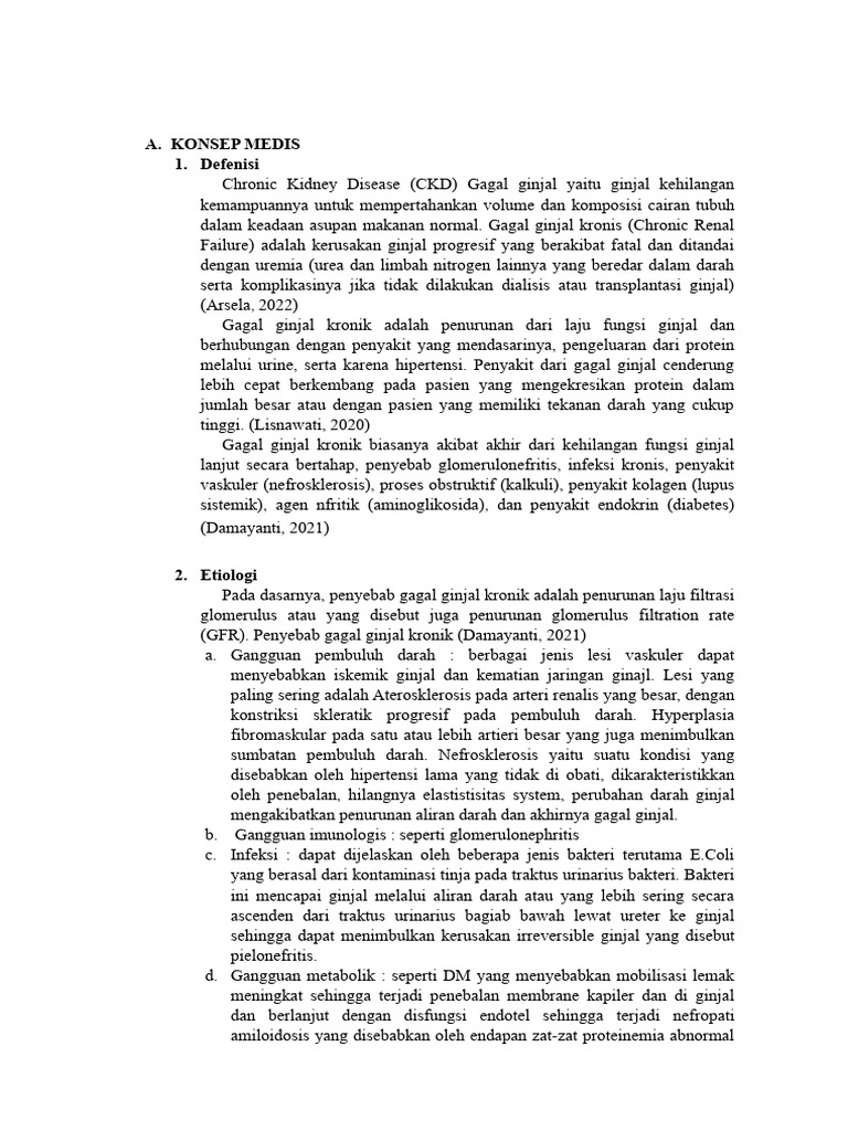 LP CKD Igd Salsabil | PDF