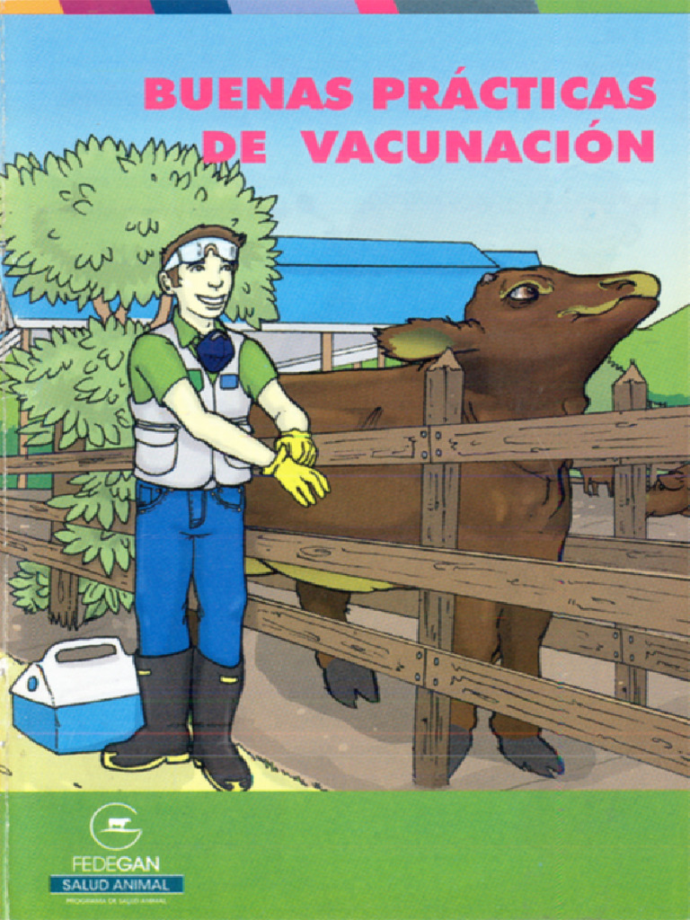 Buenaspracticasvacunacion 131017104427 Phpapp02 | PDF