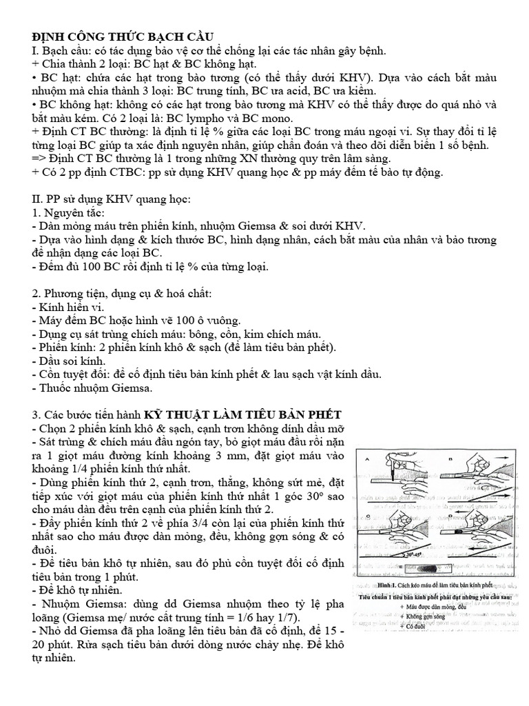 Soạn TT Sinh Lý | PDF