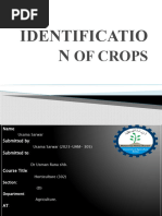 Vitex Payos | PDF | Trees | Leaf