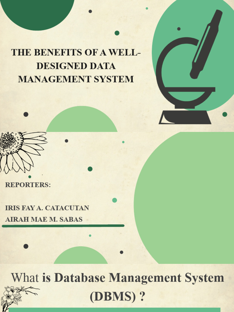 The Benefits of A Well Designed Data Management System | PDF | Databases | Information Technology