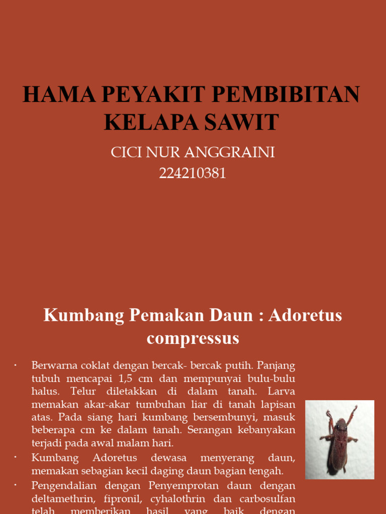 Hama Peyakit Pembibitan Kelapa Sawit Cici | PDF