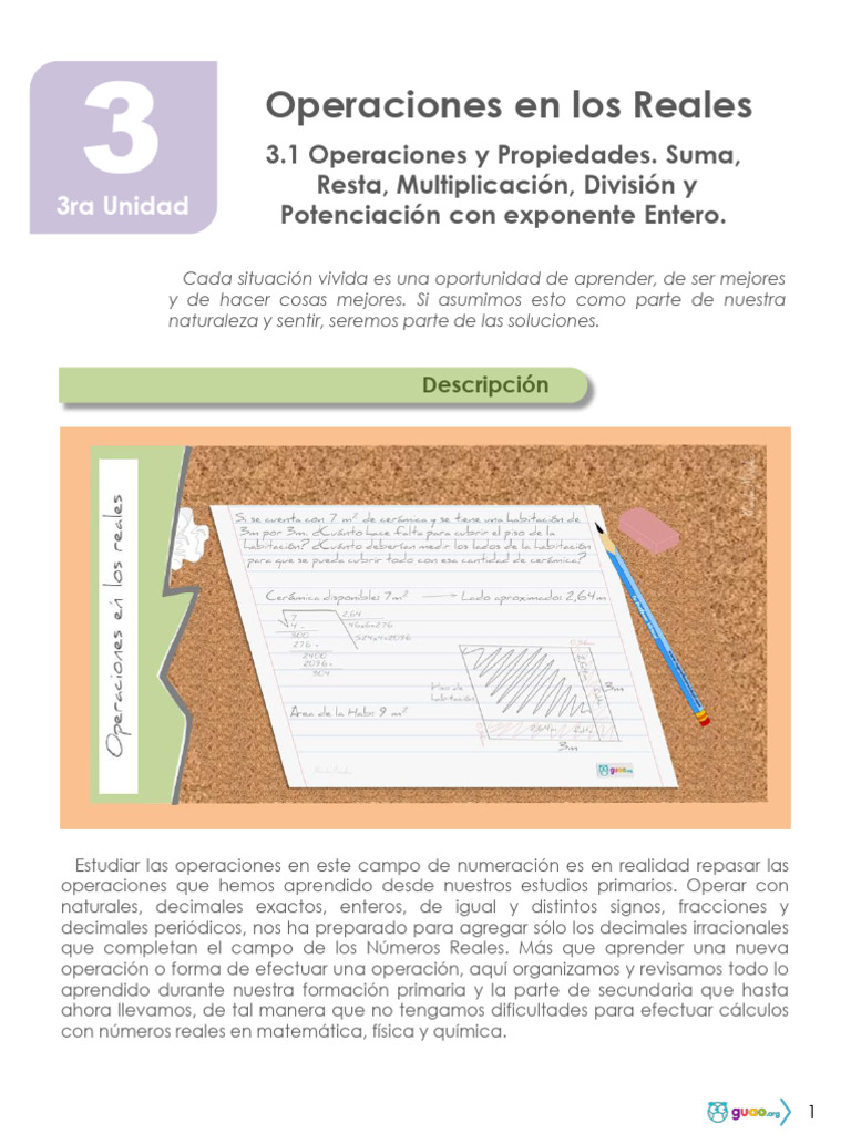 Números Reales. Operaciones y Propiedades en Los Reales-2 | PDF | Exponenciación | Números