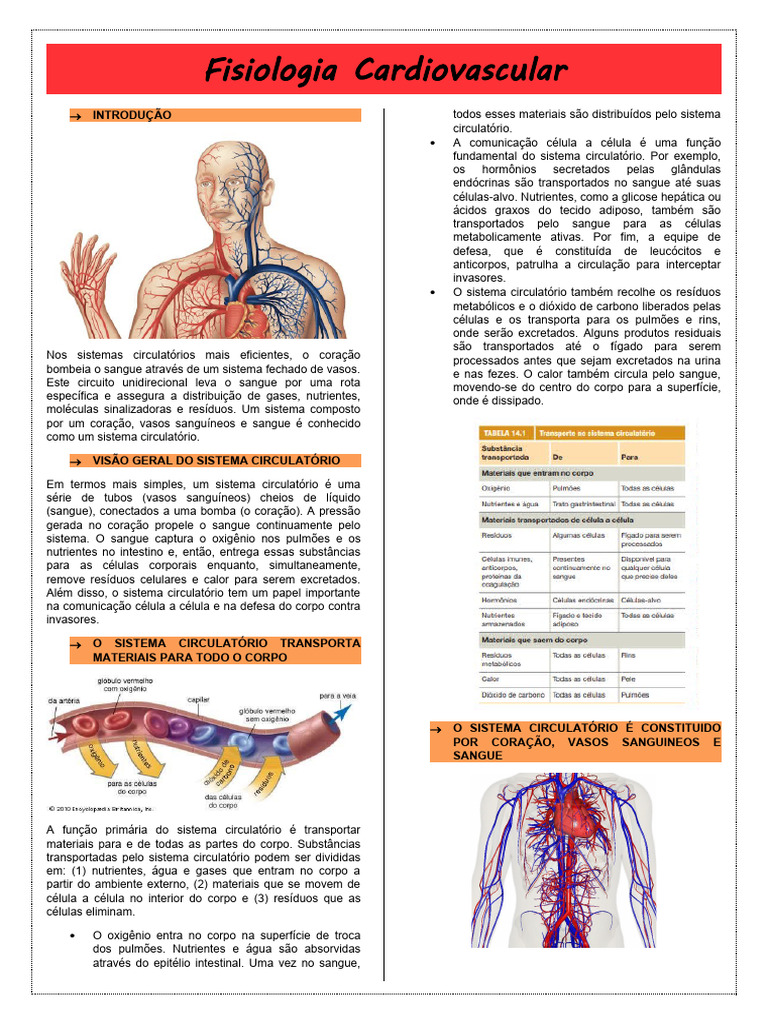 Fisiologia Cardiovascular Pdf Sistema Circulatório Coração