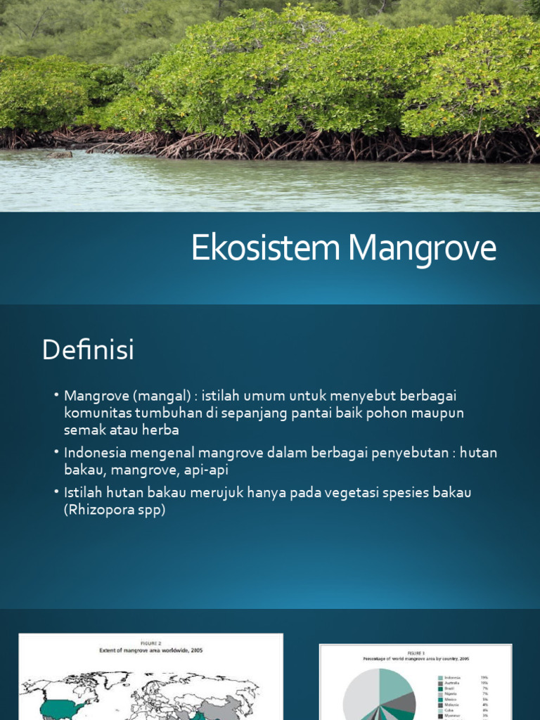 Ekosistem Mangrove | PDF