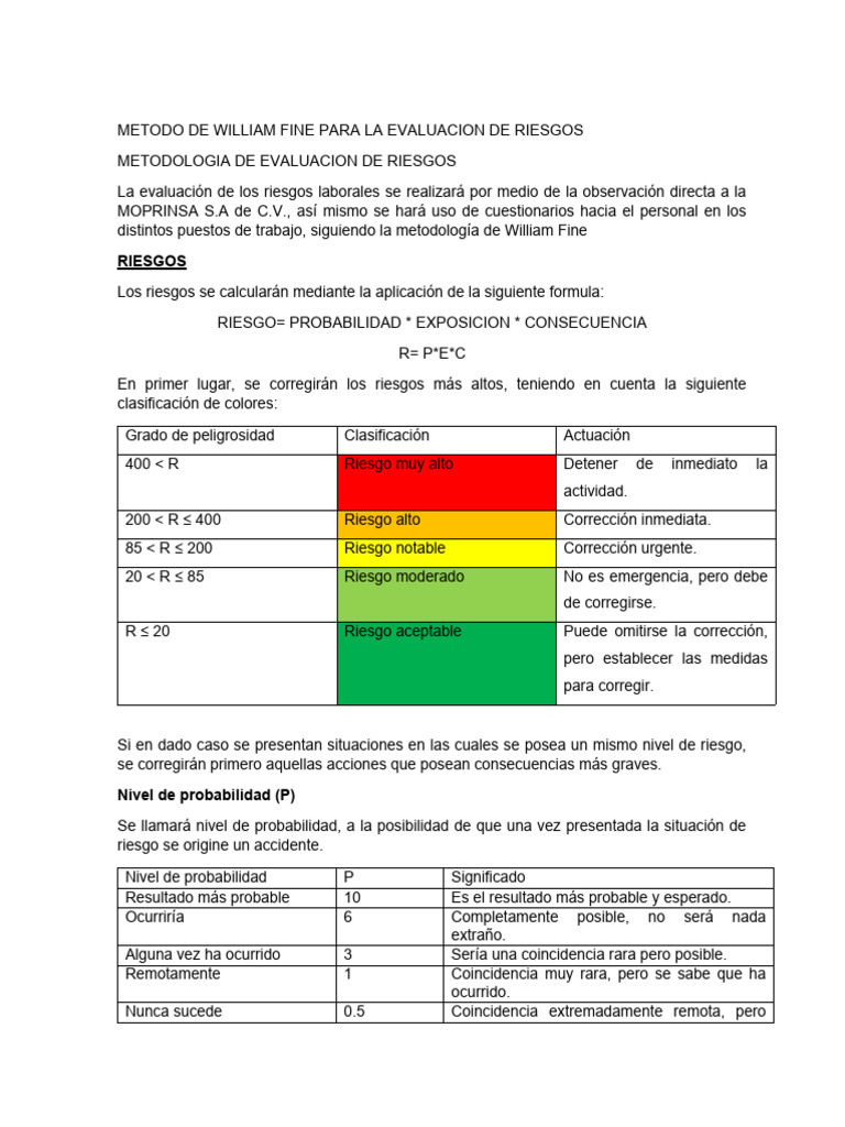 Trabajo Final William Fine | PDF