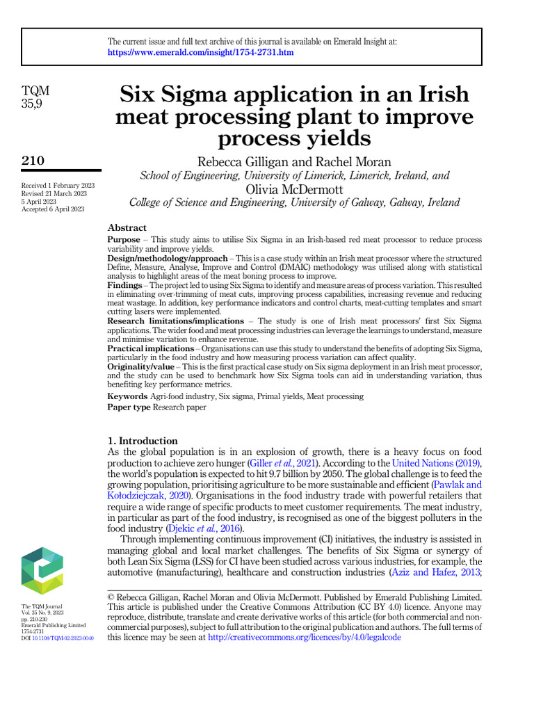 Copia de Six Sigma Application in An Ir | PDF | Six Sigma | Food Industry