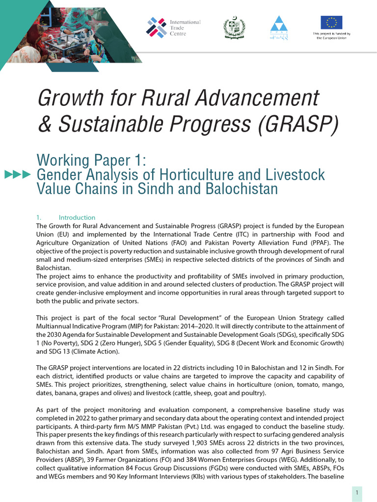 GRASP Working Paper 1 | PDF | Small And Medium Sized Enterprises ...