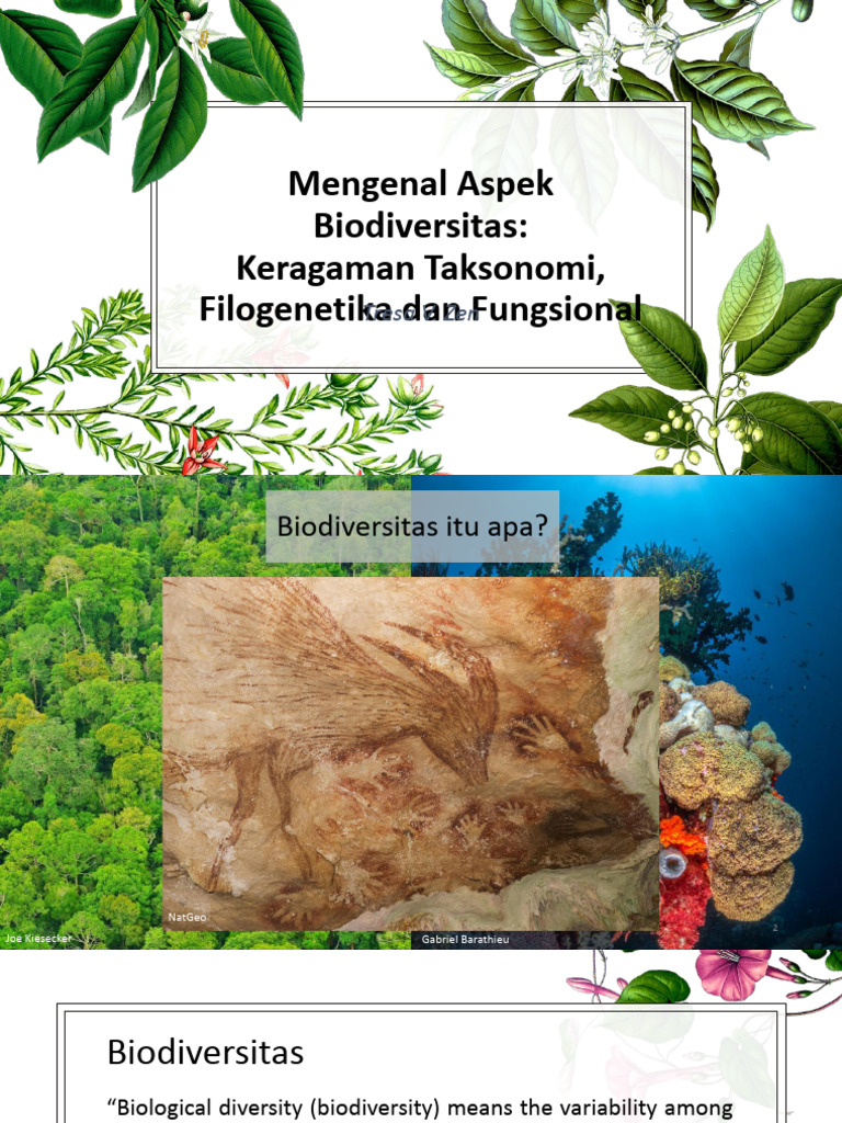 Mengenal Aspek Biodiversitas | PDF | Biodiversity | Ecology
