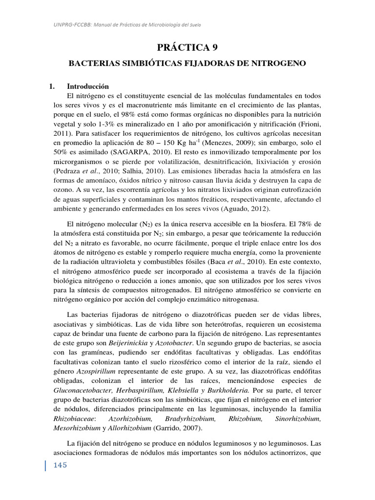 9 Semana BACTERIAS SIMBIOTICAS FIJADORAS DE NITROGENO | PDF | Nitrógeno