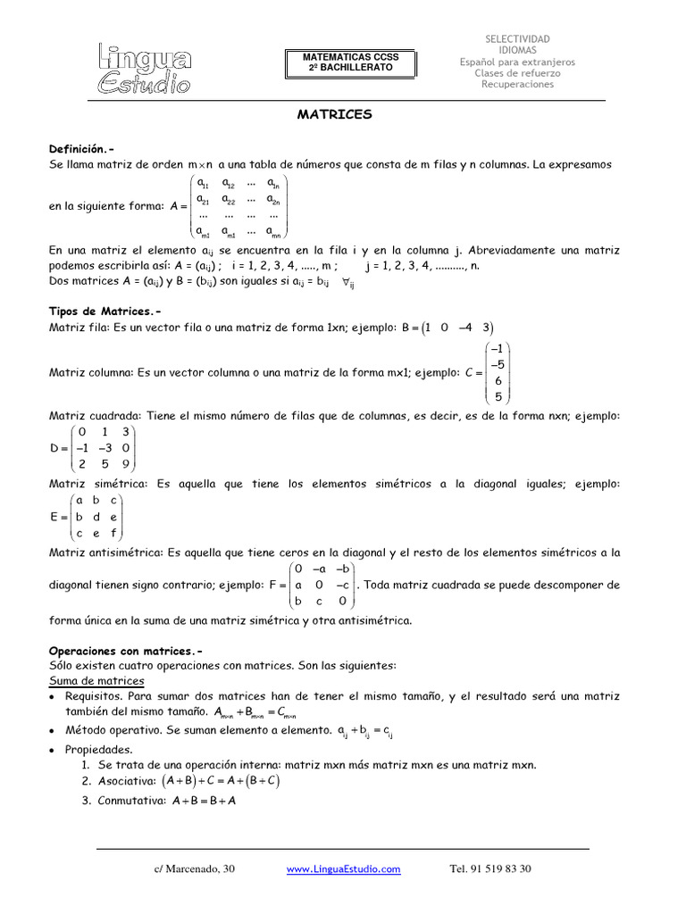 Tema 1 matrices | Descargar gratis PDF | Matriz (Matemáticas) | Matemáticas