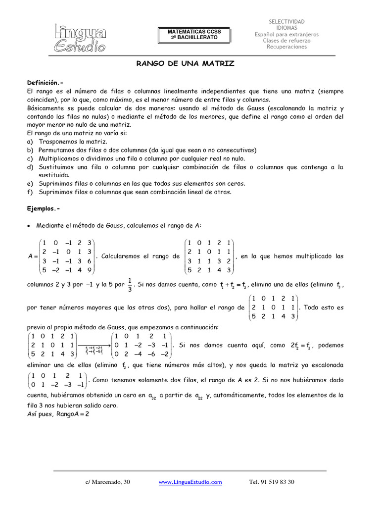 Rango de una Matriz: Métodos y Ejemplos | PDF | Matriz (Matemáticas ...