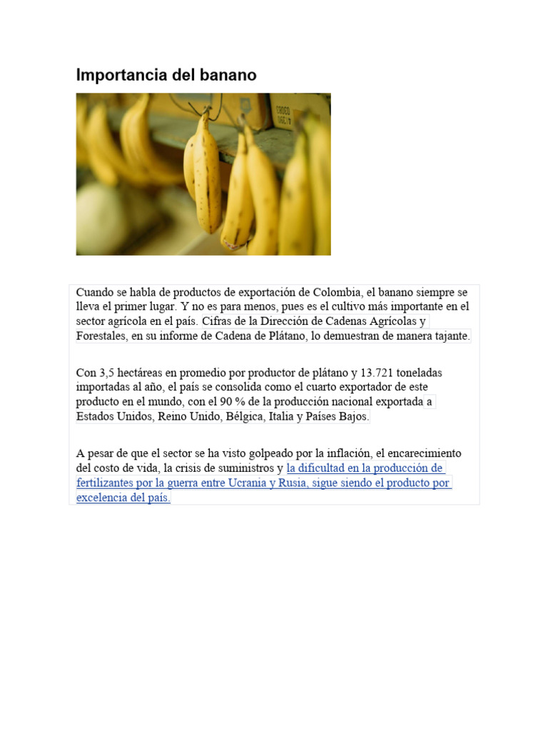 Importancia Del Banano | PDF