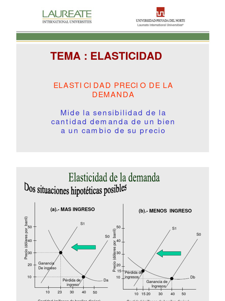 Elasticidad 2 | PDF | Elasticidad (economía) | La elasticidad precio de la demanda
