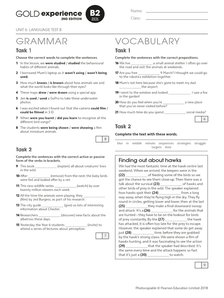 Gold Exp B2 U6 Lang Test B | PDF | Hawk | Predation