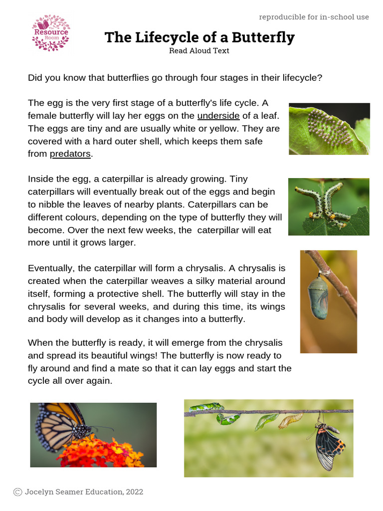 Background Knowledge Texts Very Hungry Caterpillar | PDF | Butterfly | Pupa