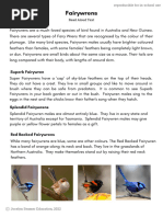 Hudhud: The Hoopoe Bird Explained | PDF | Birds | Ornithology