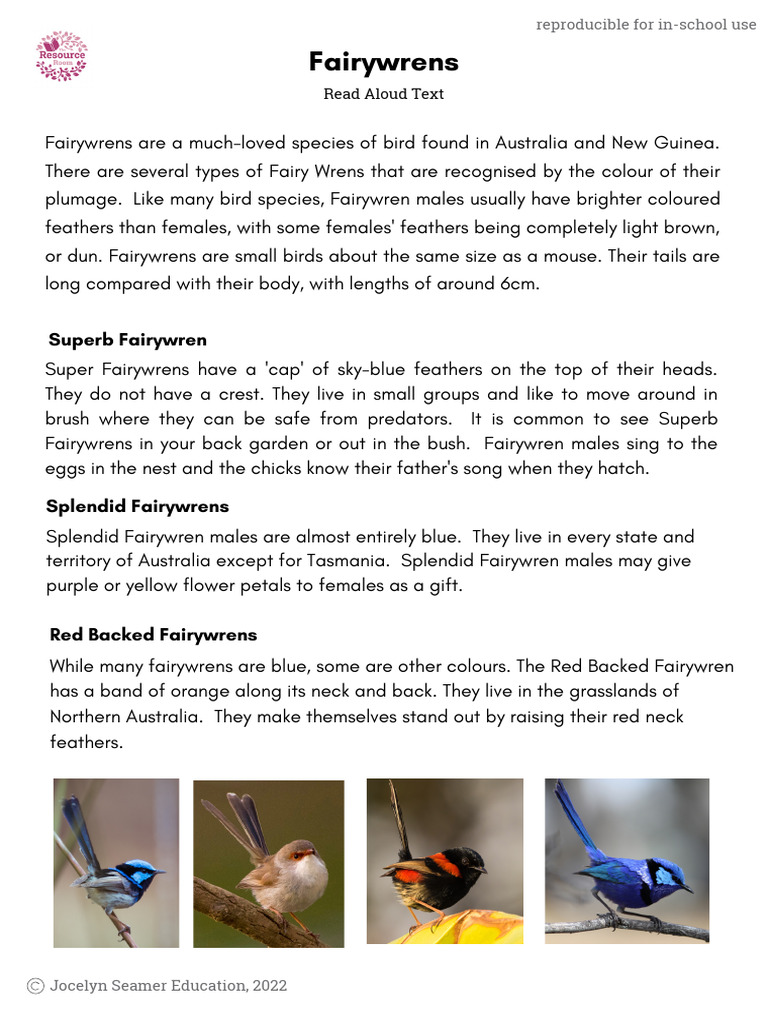 Feathers For Phoebe Background Knowledge Text 2 | PDF | Peafowl ...
