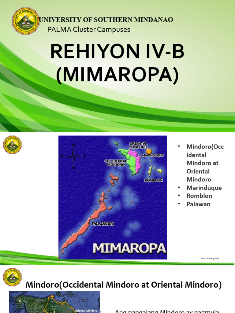 Rehiyon IV B Mimaropa | PDF