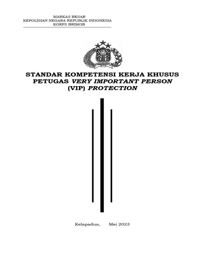 SK3 Vip Protection | PDF