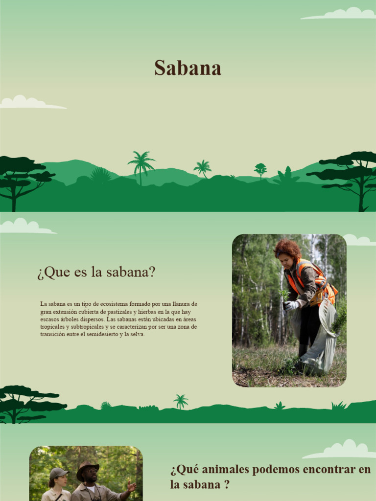 Ecological Restoration in Cerrado Biome Proposal | PDF | Hogar ...