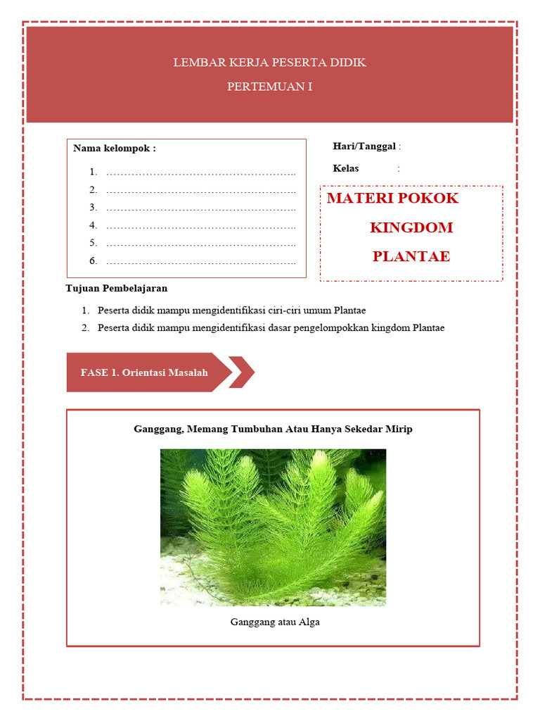 LKPD Kingdom Plantae | PDF