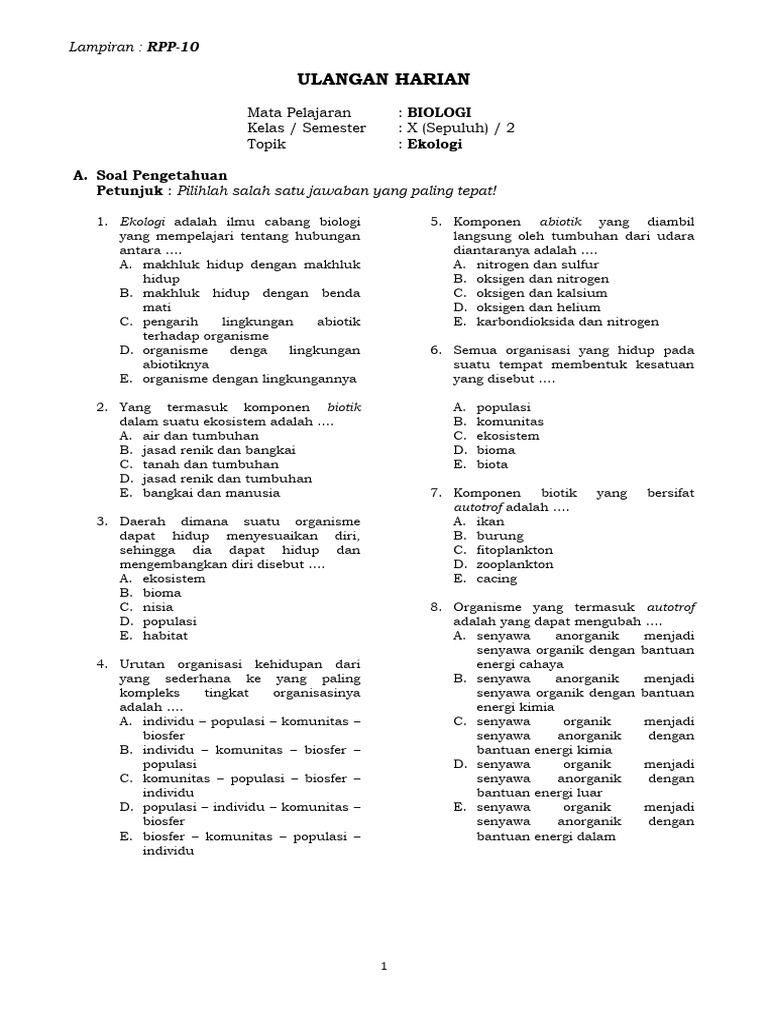Instrumen Penilaian RPP-10 | PDF