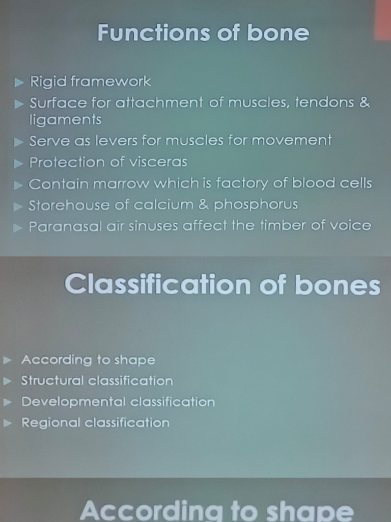 Bones | PDF | Bone | Cartilage