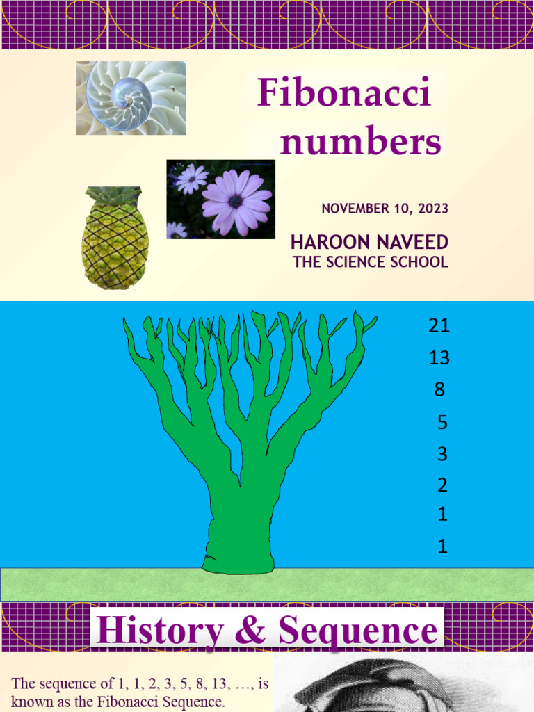 Fibonacci Sequence by Haroon Naveed | PDF | Numbers | Elementary Mathematics