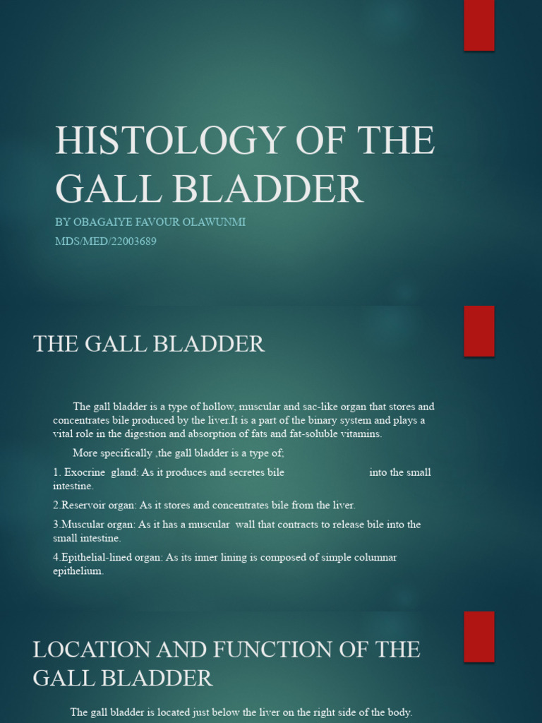 Gall Bladder Histology Overview | PDF | Gallbladder | Bile