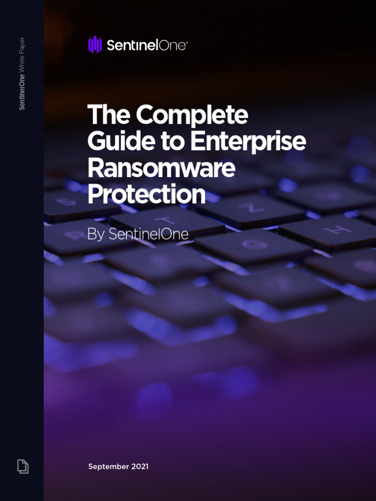 Ransomware Recovery Strategies Guide | PDF | Ransomware | Malware