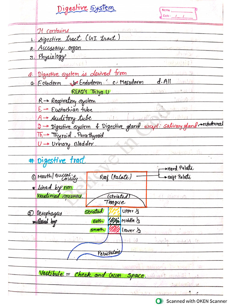 Complete Human System | PDF