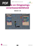 Gr10 KW1 Les 4 Loopbaankeuses | PDF