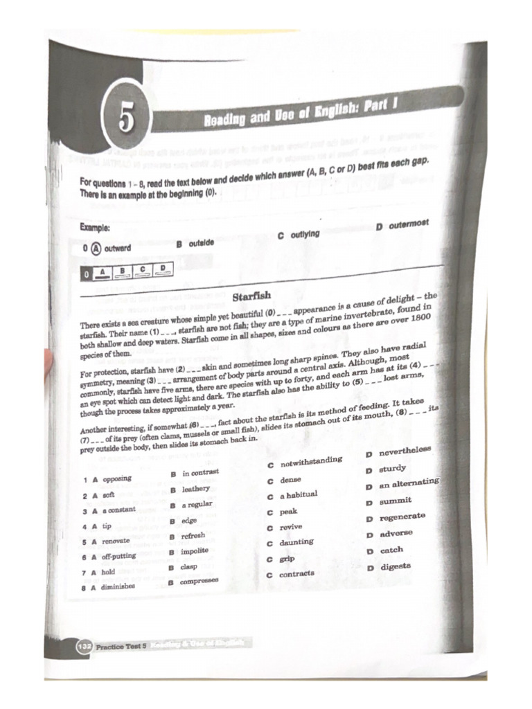Example | PDF