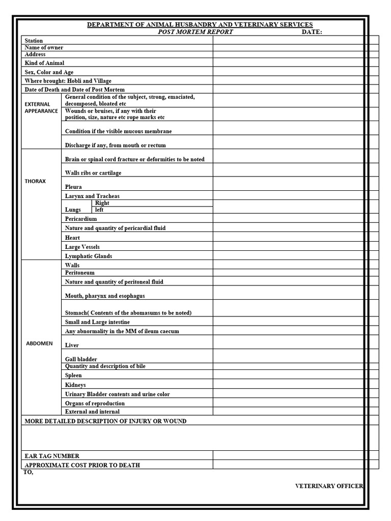 PM REPORT BLANK FORMAT | PDF