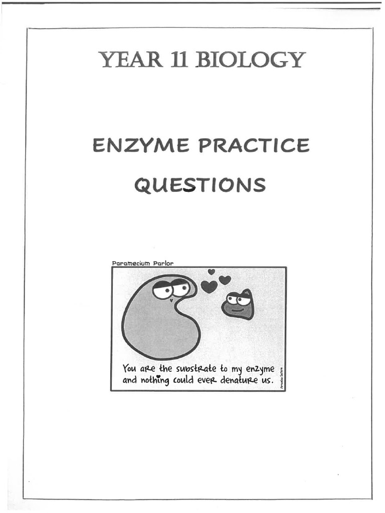 Enzyme Practice Test | PDF