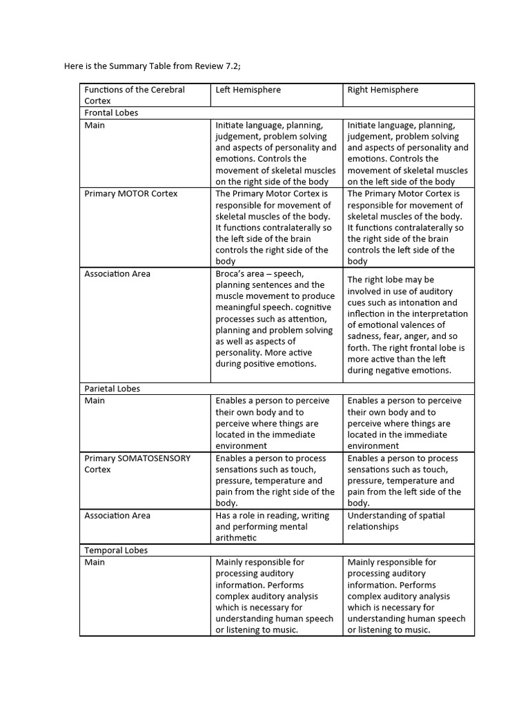 Hemispheric Specialisation Download Free Pdf Cerebral Cortex