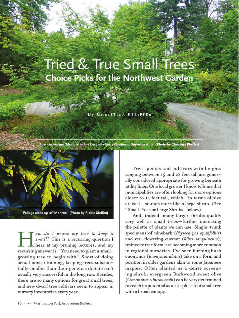 Pfeiffer Small-Trees | Download Free PDF | Shrub | Trees