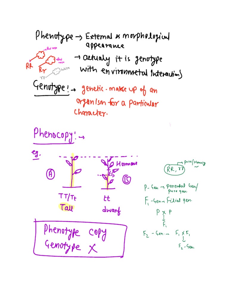 Genetics 24 25 1 Download Free Pdf Dominance Genetics Plants