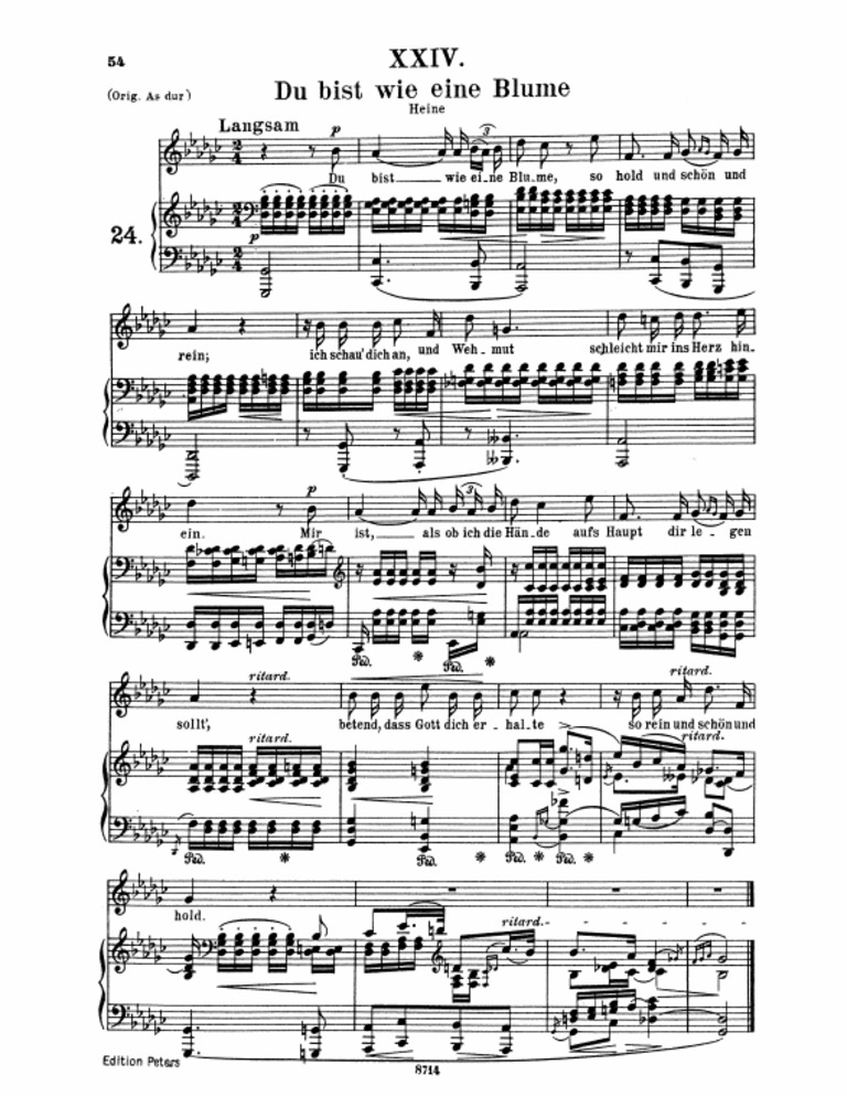 IMSLP05251-Schumann - Lieder, Op.25のコピー | PDF